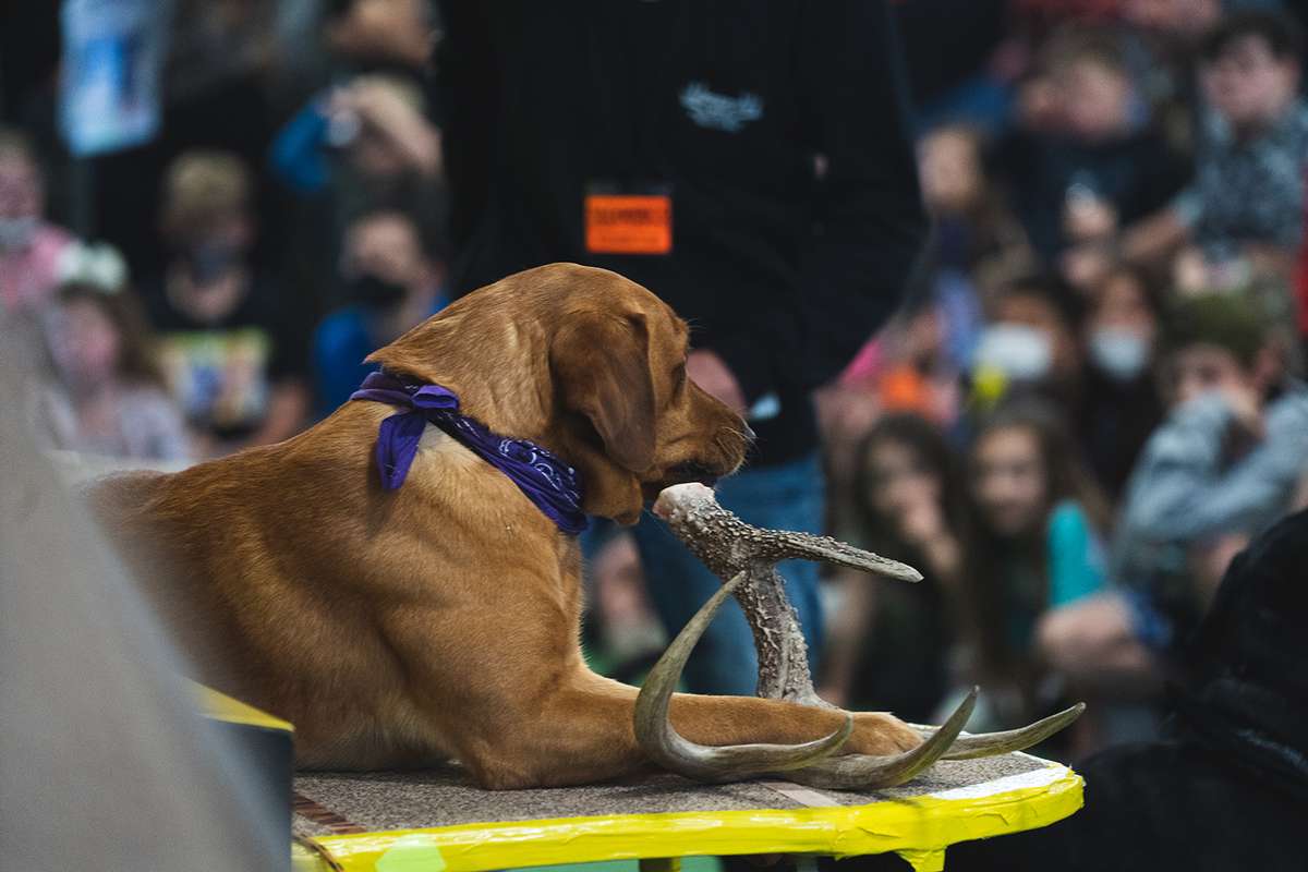 Backwoods Hunting & Fishing Expo - Admission